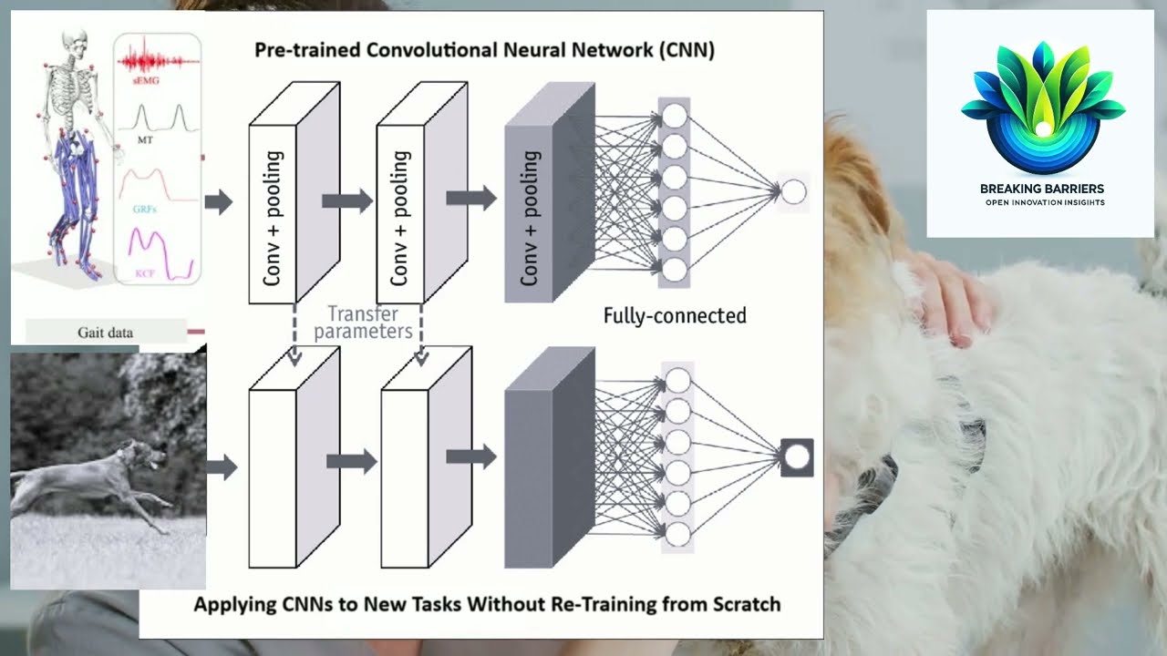 AI & Transfer Learning Revolutionizing Pet Care