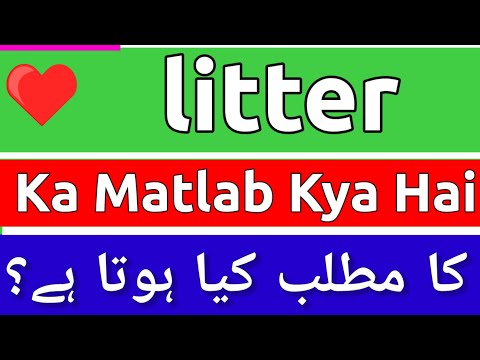 Litter Meaning In Urdu | Litter Meaning | Litter Ka Matlab Kya Hota Hai | Litter Ka Matlab Kya Hai