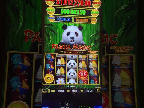 BONUS In A BONUS x2 On Panda Magic $75 a Spin! #dragonlink #casino #gambling #slots #lasvegas