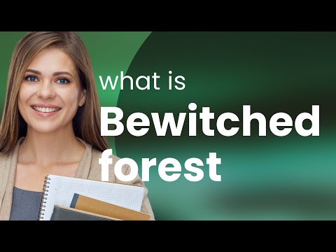 Exploring the Enchantment: Understanding "Bewitched Forest"