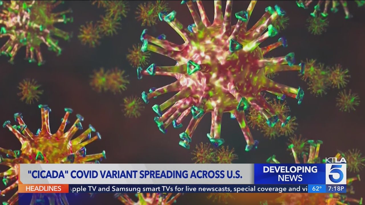 New, Highly-Mutated Covid-19 Variant known as 