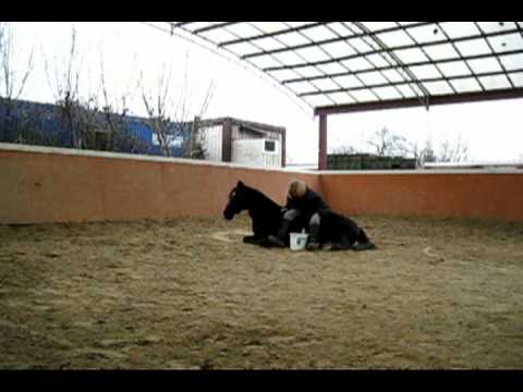 Das Ende einer Mittagspause mit dem Weltbesten Pony