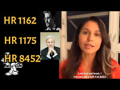 djelf7 shows you how to help Tulsi's last ditch attempt to save Edward Snowden and Julien Assange