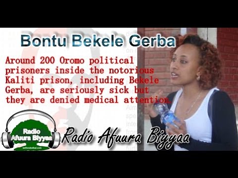 RAB with Bontu Bekele Gerba Must Listen!!!! | Freedom for Oromia