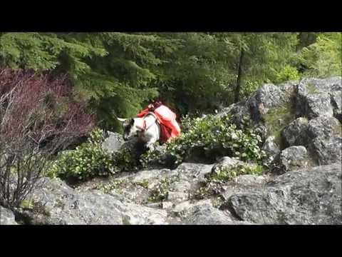 Summits on the Air (SOTA) W7/SK-155 Chuckanut Mtn by KF7LX
