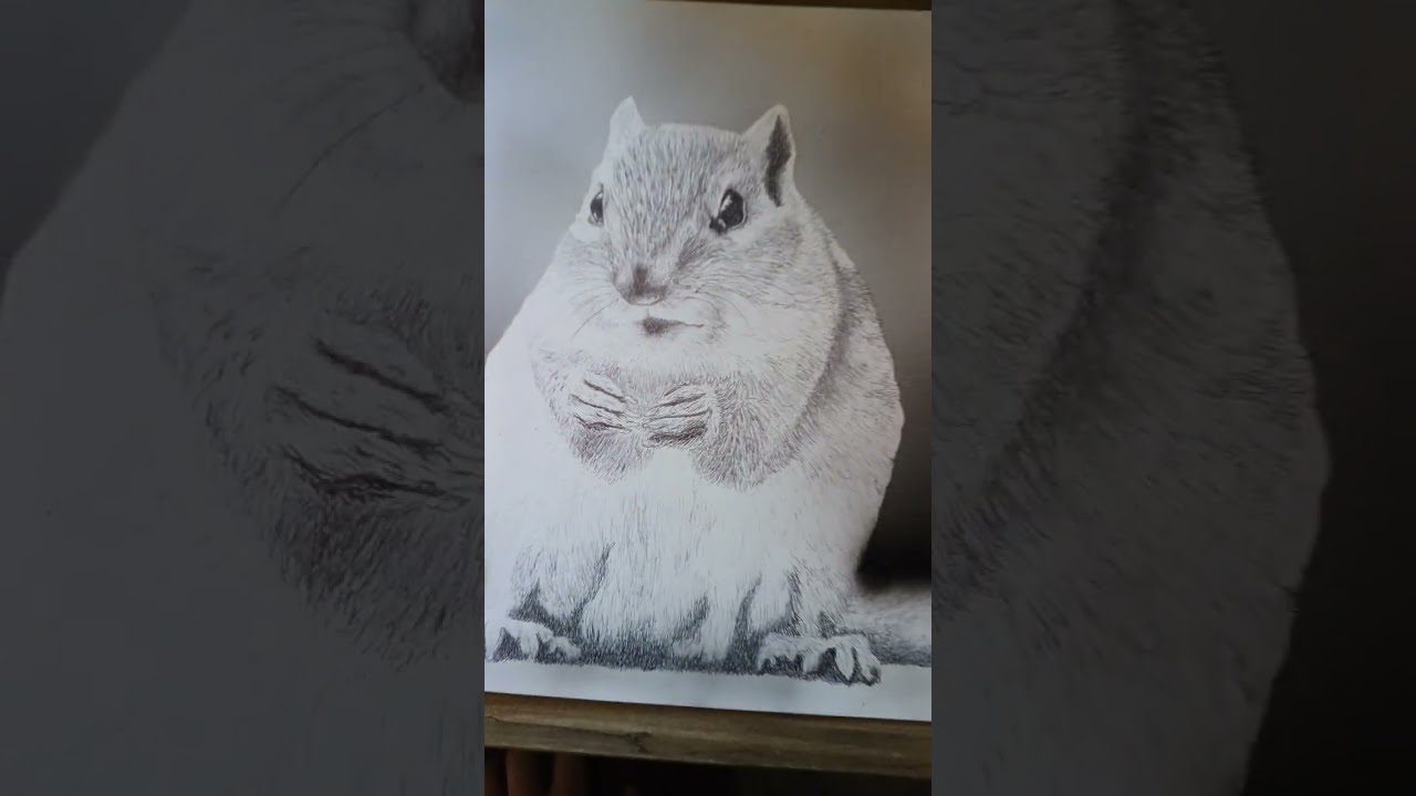 Drawing chipmunk in Black & white