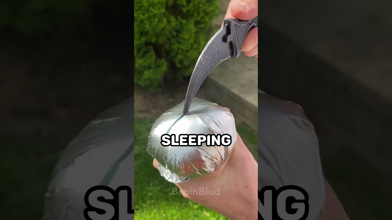 Random Facts You Didn't Know 13