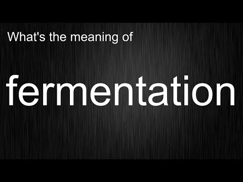 What's the meaning of "fermentation", How to pronounce fermentation?