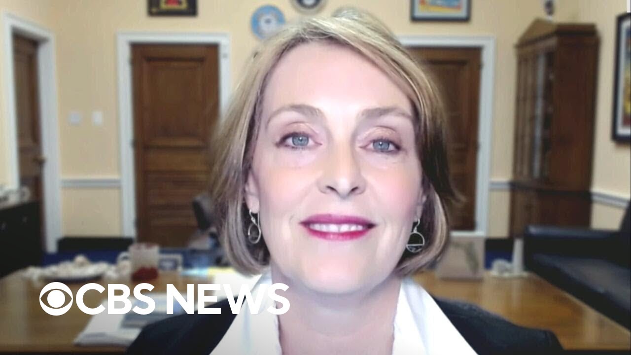 Rep. Kathy Castor slams DeSantis' proposed congressional map as a 