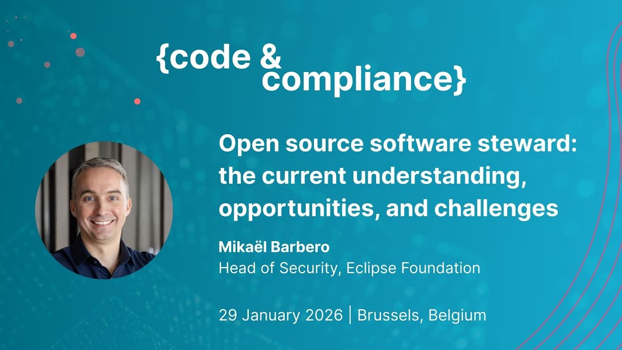 Open Source Software Steward: The Current Understanding, Opportunities, and Challenges