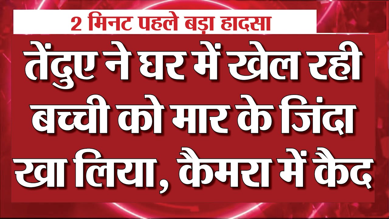 रोंगटे खड़े कर देने वाला खौफ! परिवार के सामने घर की चौखट से 4 साल की बच्ची को ले उड़ा गुलदार 😱 | Guld