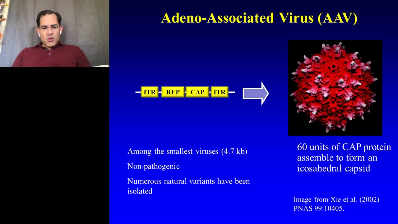 Directed Evolution of Next-Generation AAV Vector Systems for Clinical Gene Therapy