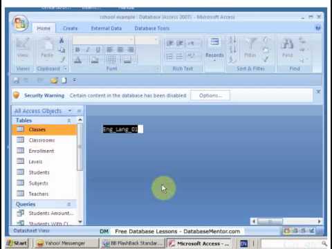 Microsoft Access 2007 Basics