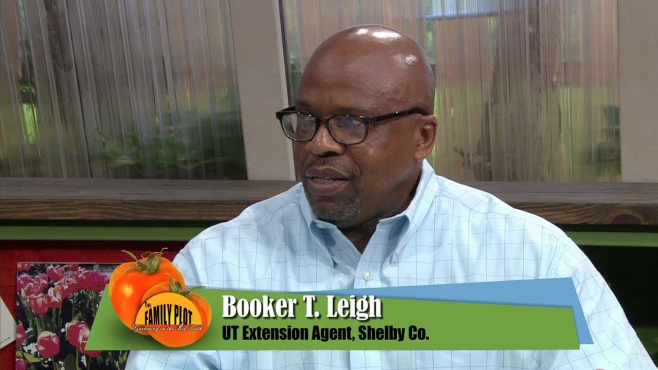 The Family Plot — May 1, 2014