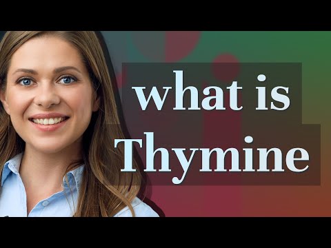 Thymine | meaning of Thymine