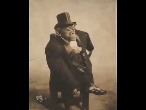 Steam Community :: Video :: Fancy, Human-like Monkeys to Biggie Smalls ...