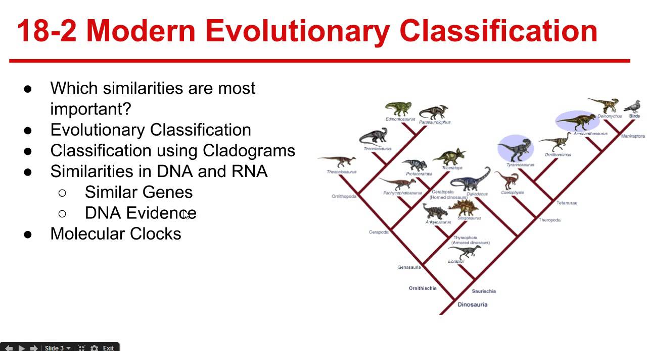 Ch. 18 Classification
