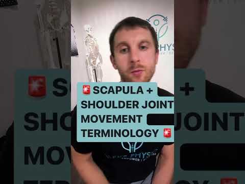 Learn Shoulder Muscle Movement Terms | #shorts