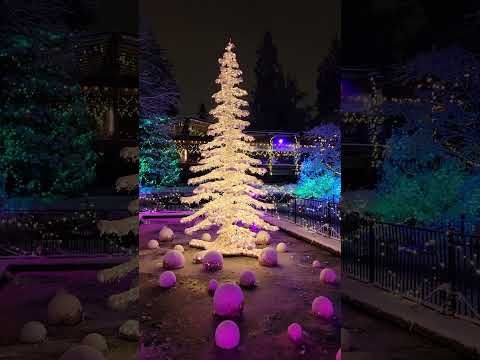 VanDusen Festival of Lights - 2023