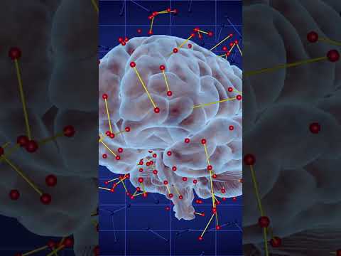 ¿Sabes qué es un neurotransmisor?