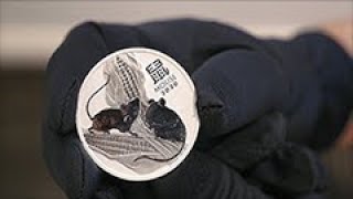 1 oz Australian Lunar Year of the Mouse 2020 Gold Coin | Tavex