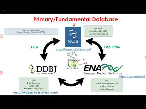 GenBank Tutorial | How To Use GenBank Format