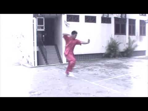 Traditional Wushu Video (Gong Li Quan)