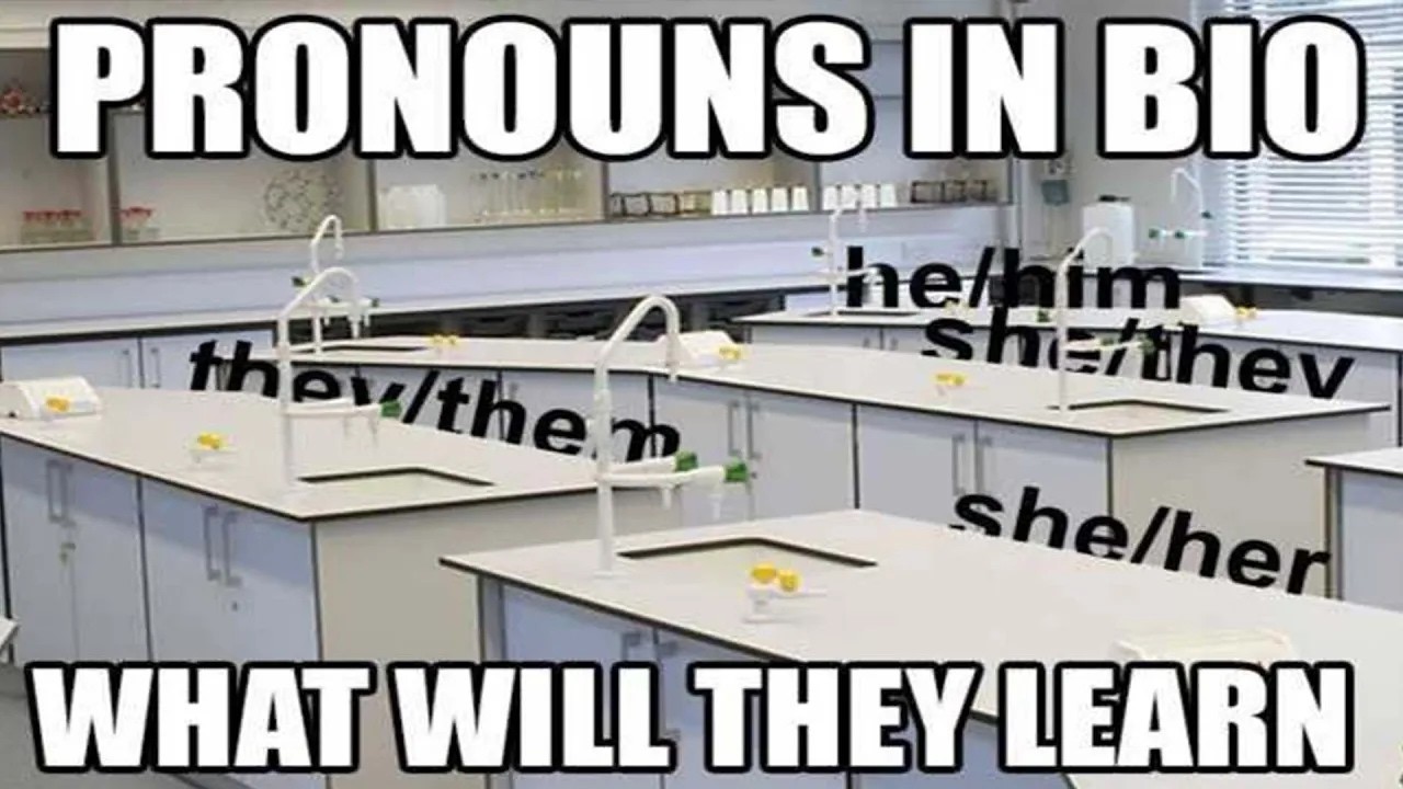 ALL OF R/SURREALMEMES