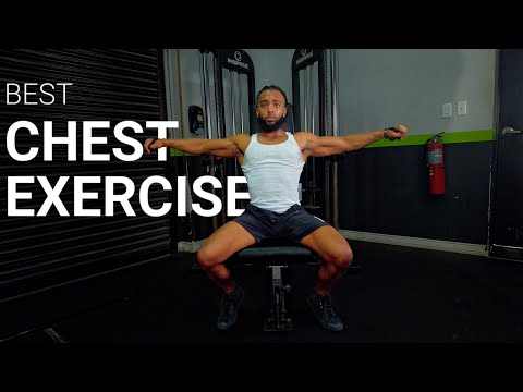 Pecs Workout: Best Exercises for Chest Gains and Definition | Anatomy and Training Tips