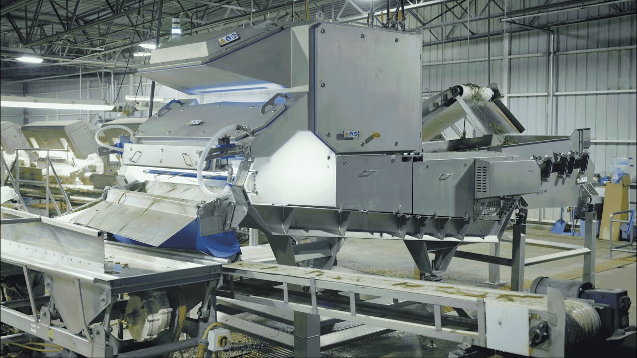 Key Technology COMPASS (belt-fed) Optical Sorter-Green Beans