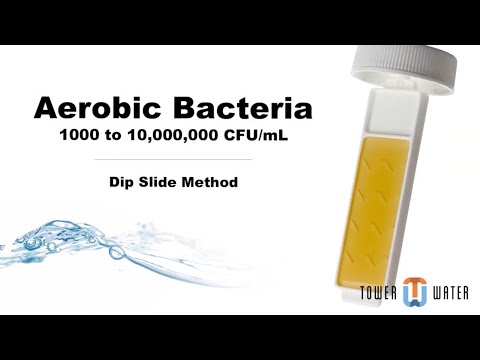 How to Test for Aerobic Bacteria Using the Dip Slide Method