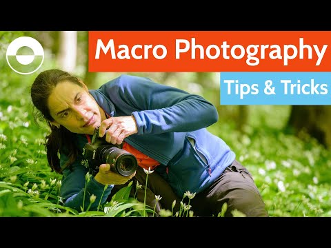 Macro Photography Tips and Tricks! (Camera Settings, Equipment, Diffuser + Mirror Hack!)