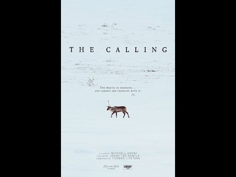 The Calling
