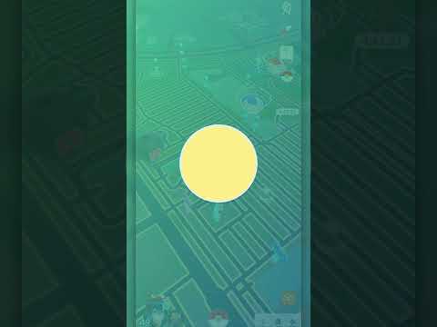 Where'd you place on the Chingling showcase? #PokemonGO