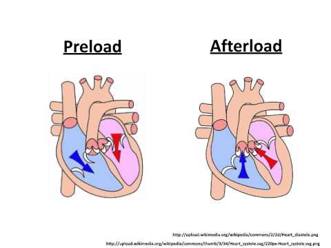 Myocardial Ischemia Pharmacology 2015 movie