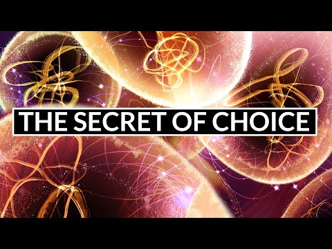 Does The Universe Allow Free Will?