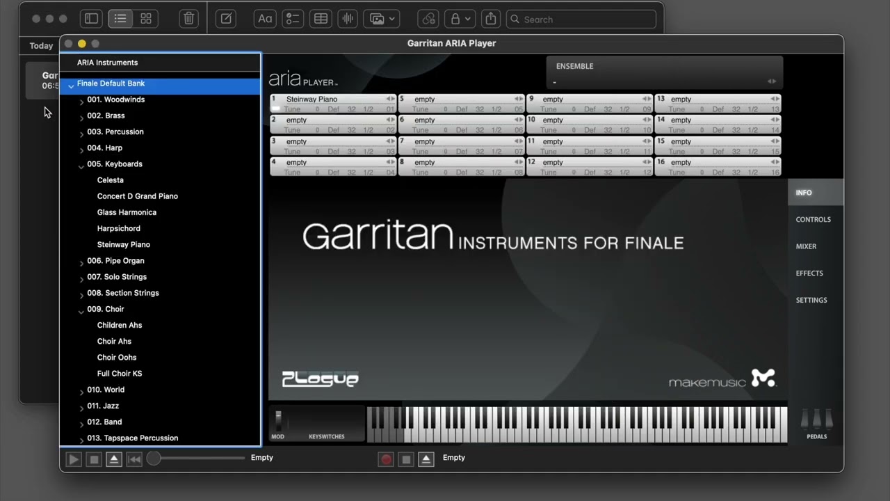 Garritan Aria Player Issue 11132024