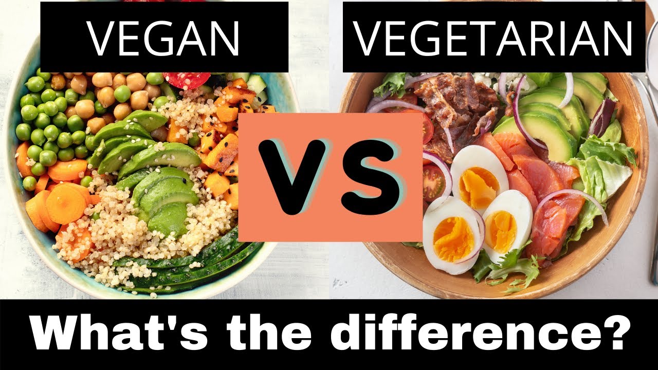 Difference Between Vegan Diet And Vegetarian Diet | Plant Based Diet Vs Vegetarian Diet