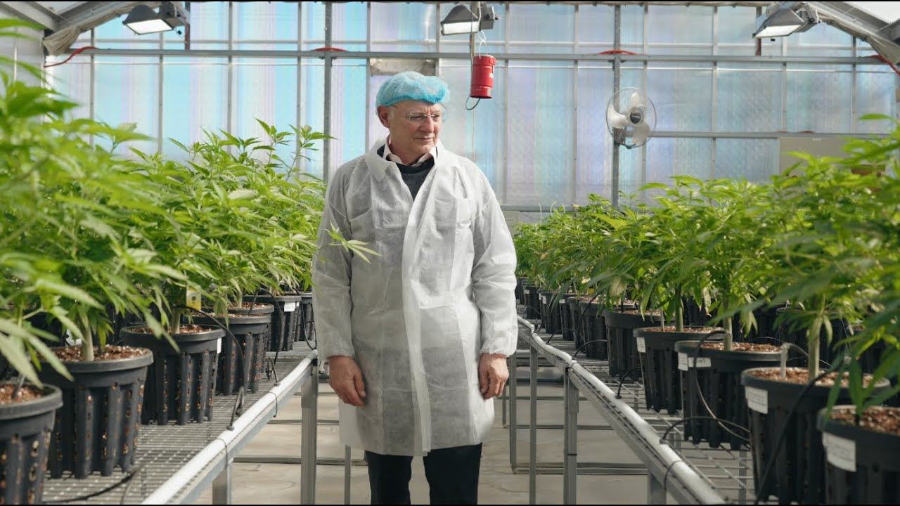 Bacic on the collaboration with Cann