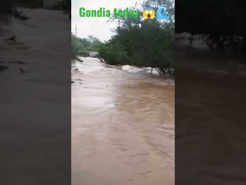 Gondia Maharashtra Today 15/8/22 #viral #viralvideo #vlog #shorts #short #subscribe
