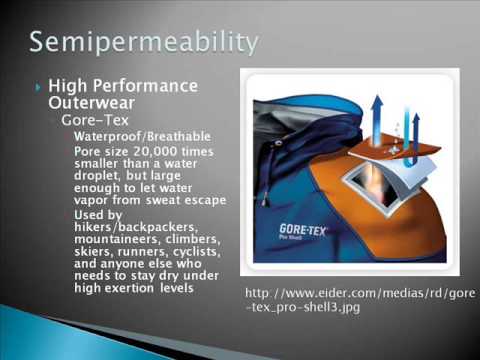 Semipermeable Membranes: Polytetrafluoroethylene (PTFE)