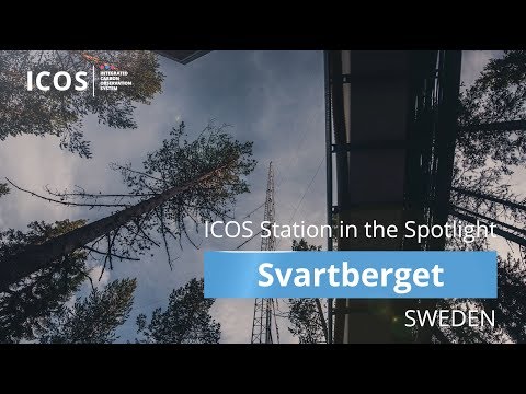 #ICOScapes | Svartberget (Sweden) | Greenhouse gas observations
