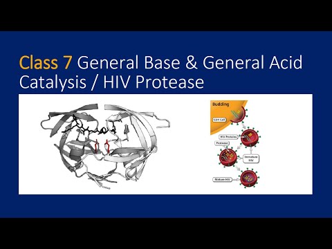 General Base & General Acid Catalysis / HIV Protease