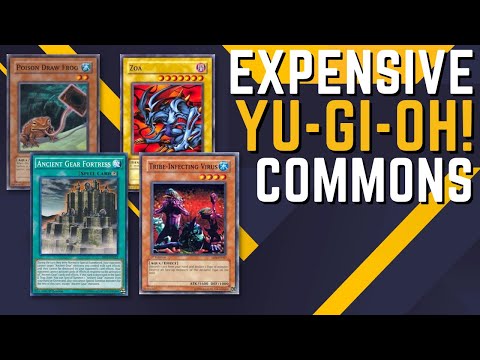 These Yu-Gi-Oh! COMMONS are worth HOW MUCH $$$?!! Exploring #expensive #yugioh Common #cards!