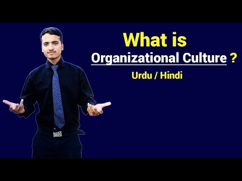 What is Organizational Culture ? Urdu / Hindi