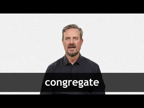 CONGREGATE - Definition & Translations | Collins English Dictionary