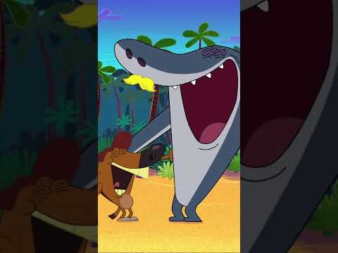 #Shorts ๐ถ Zig & Sharko - Ahahahah ๐คฃ