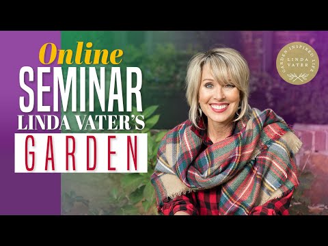 Tips to Plant Your Dream Garden