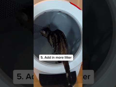 How to clean Litter-Robot litter box
