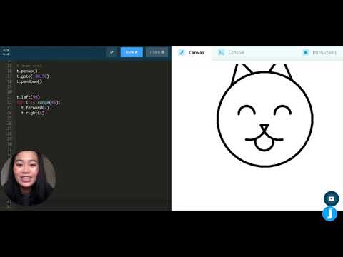 Beginning Python Project Tutorial - Draw an animal face